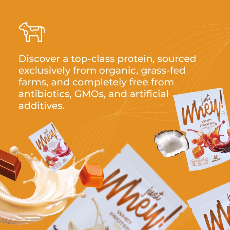 Just Whey! whey protein powder WPC, 1 kg - biolabshop.co.uk